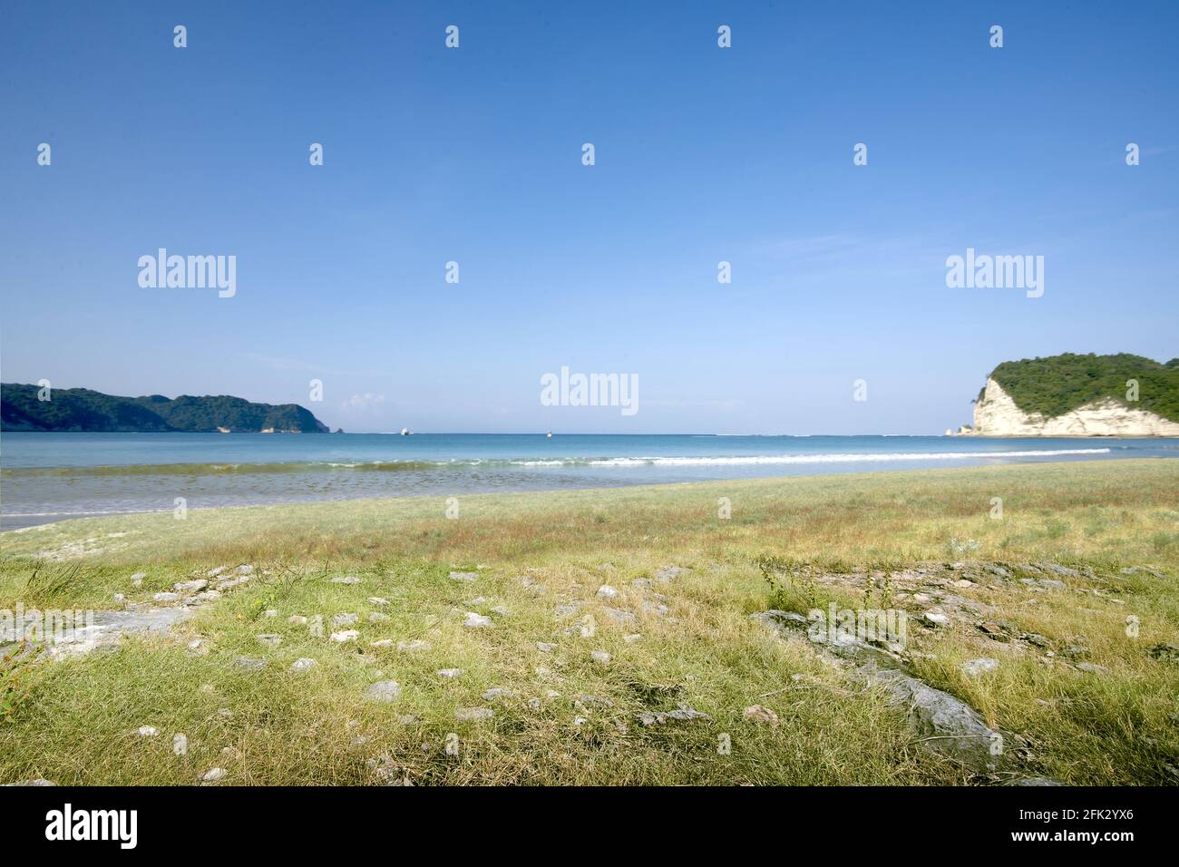The scenery of green grass on the beach with seascape background Stock ...