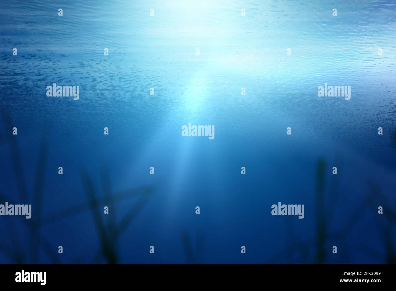 Underwater view of ocean hi-res stock photography and images - Alamy