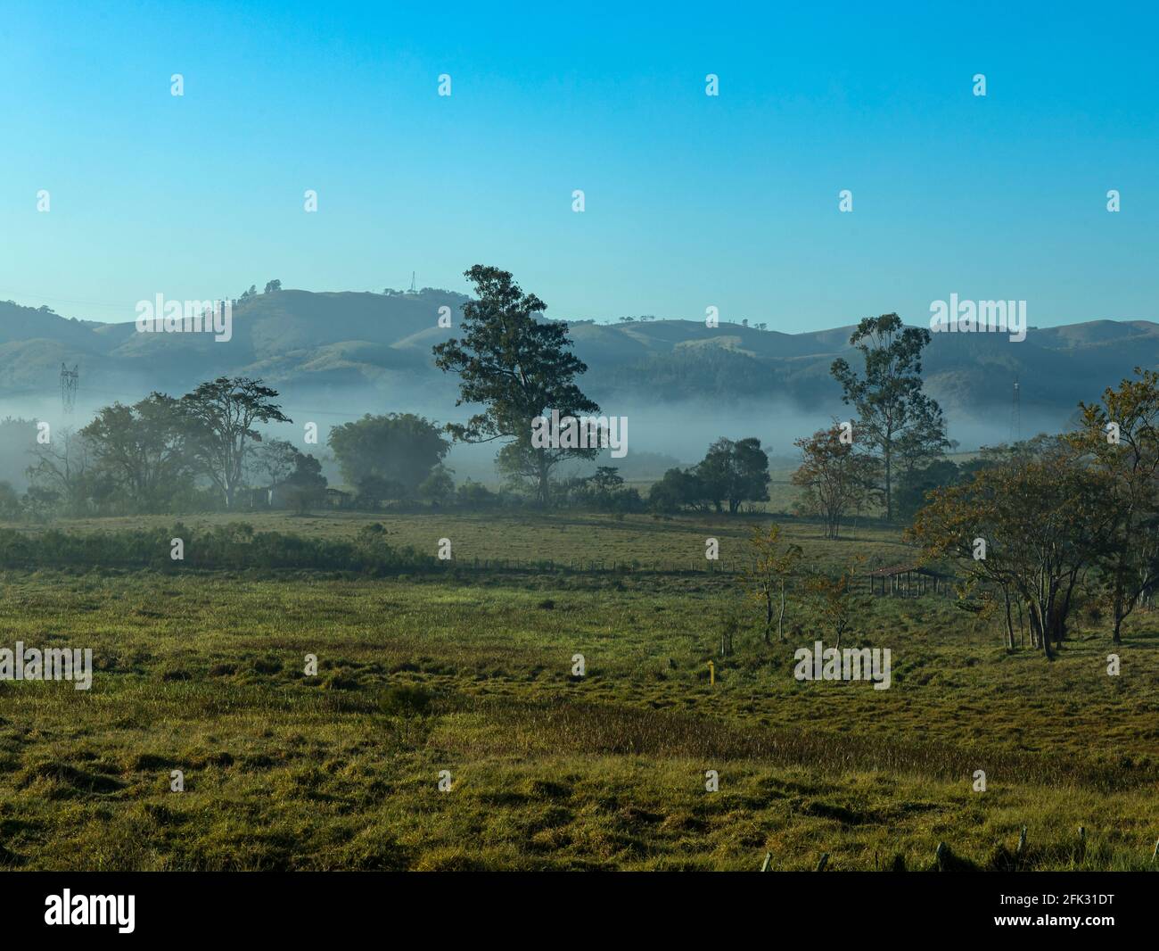 Morning mist. Field with fog Stock Photo - Alamy