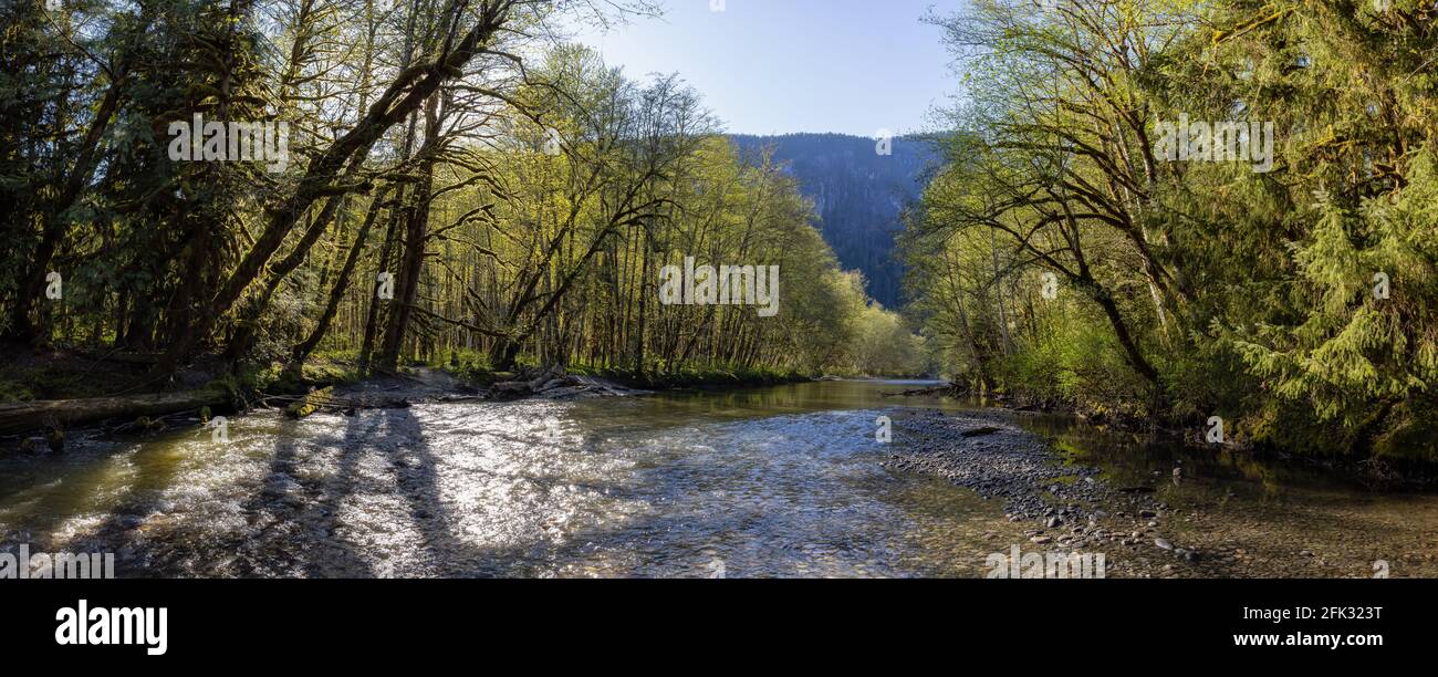 Landscape river forest during rain hi-res stock photography and images ...