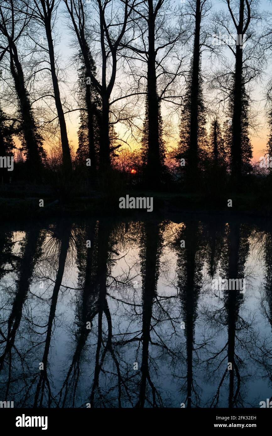 Sunrise and trees reflecting in the river thames. Buscot, Cotswolds ...