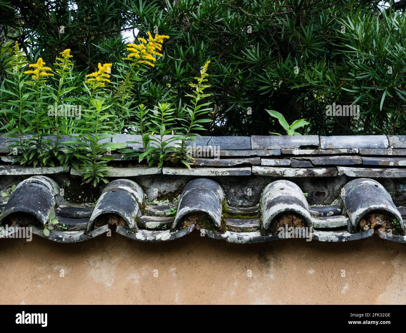 Old Japanese plaster wall with shingles Stock Photo - Alamy