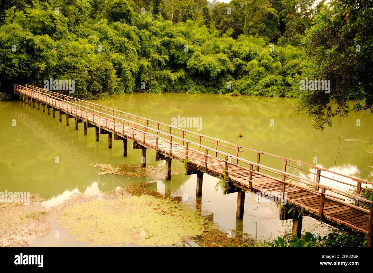 Wooden bridge railings lake nature hi-res stock photography and images ...