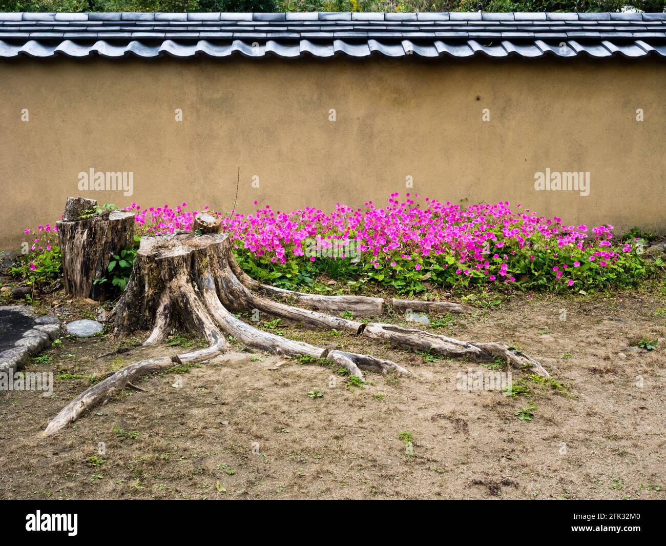 Kitsuki, Japan - October 31, 2016: Traditional Japanese plaster wall ...