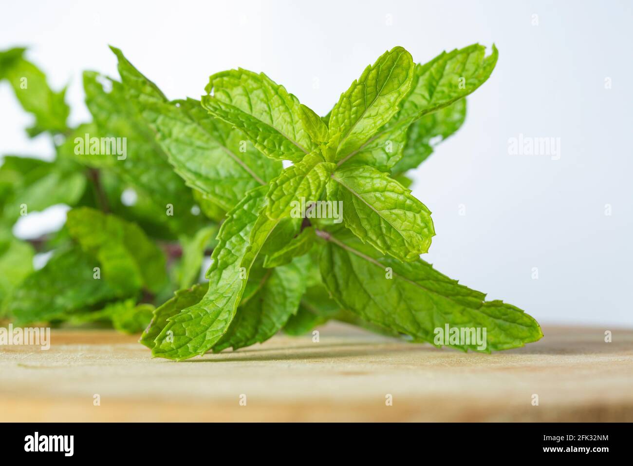 Peppermint Plants High Resolution Stock Photography and Images - Alamy
