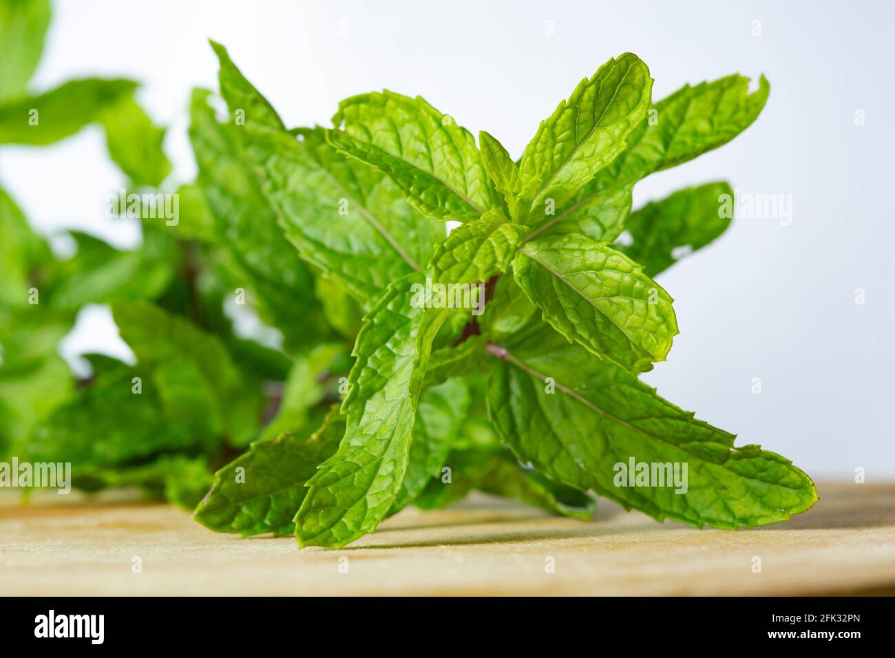 Garden plats hi-res stock photography and images - Alamy