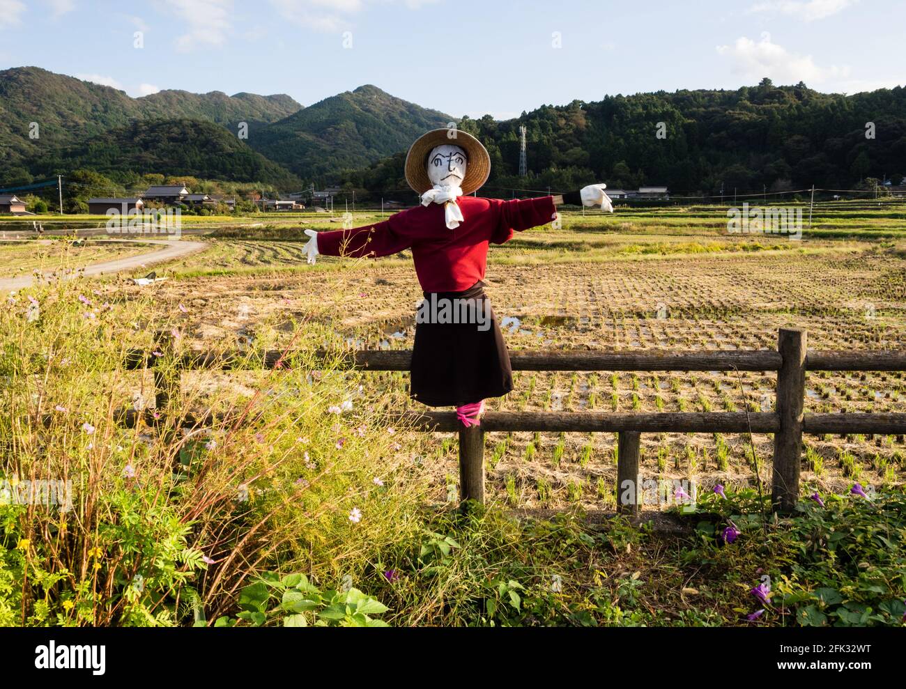 Scarecrow on rice fields in Japan Stock Photo - Alamy