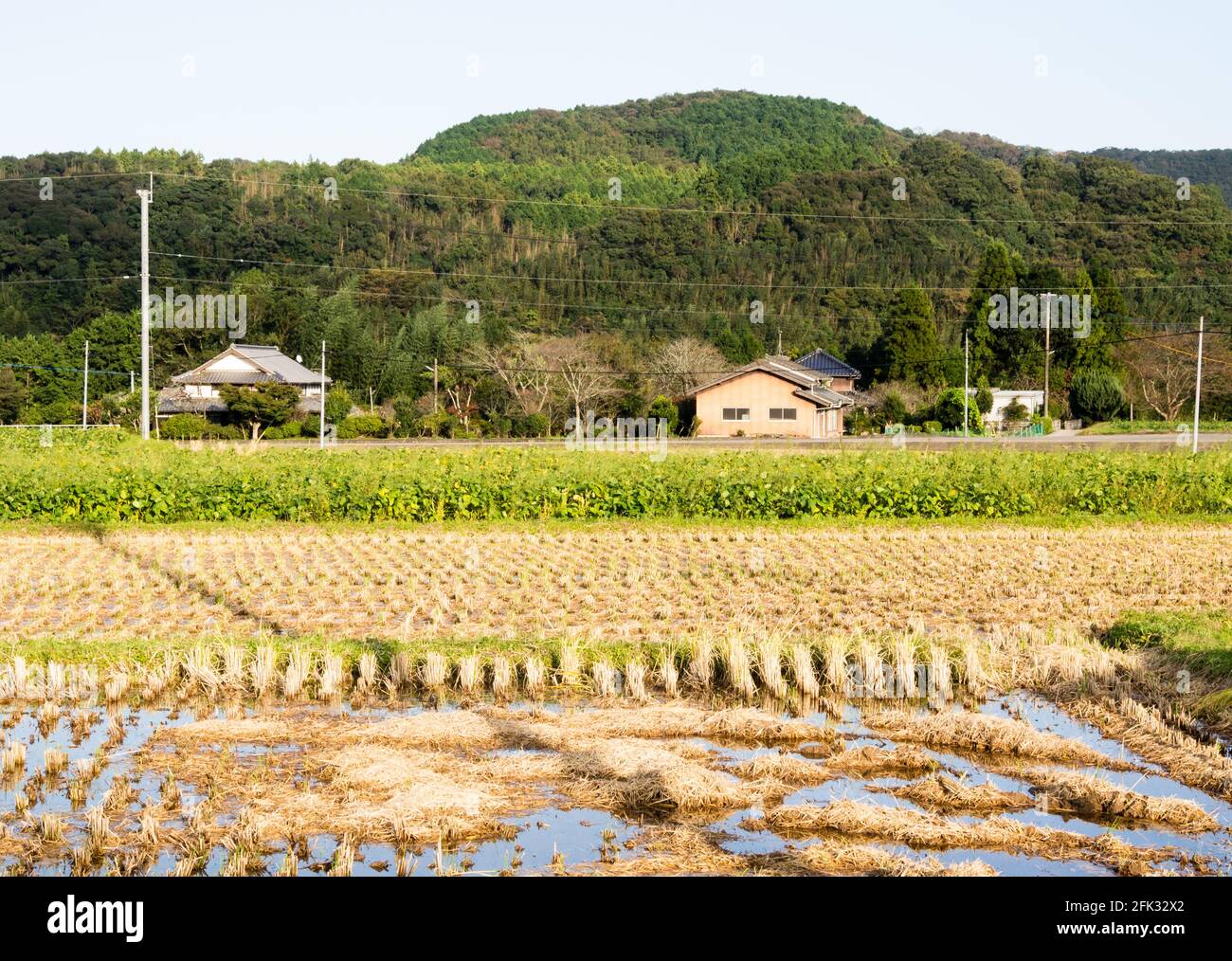 Japanese countryside with rice fields in autumn Stock Photo - Alamy