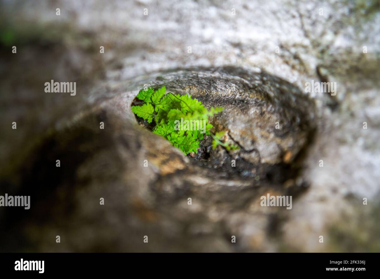 Cave ology hi-res stock photography and images - Alamy