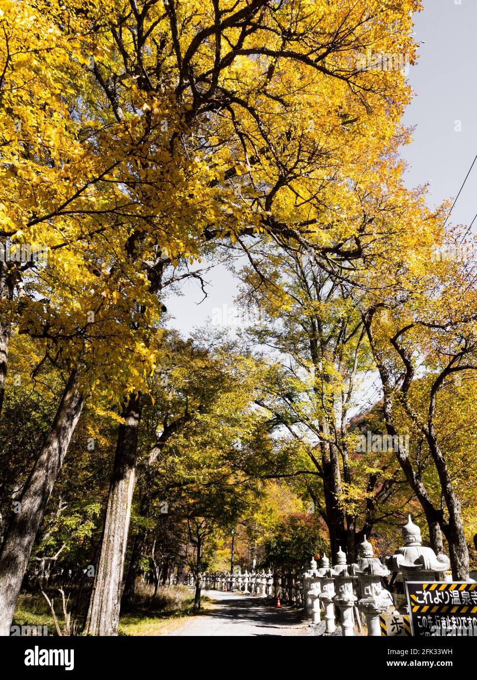 Nikko, Japan - October 24, 2016: Fall colors in Nikko-Yumoto, part of ...