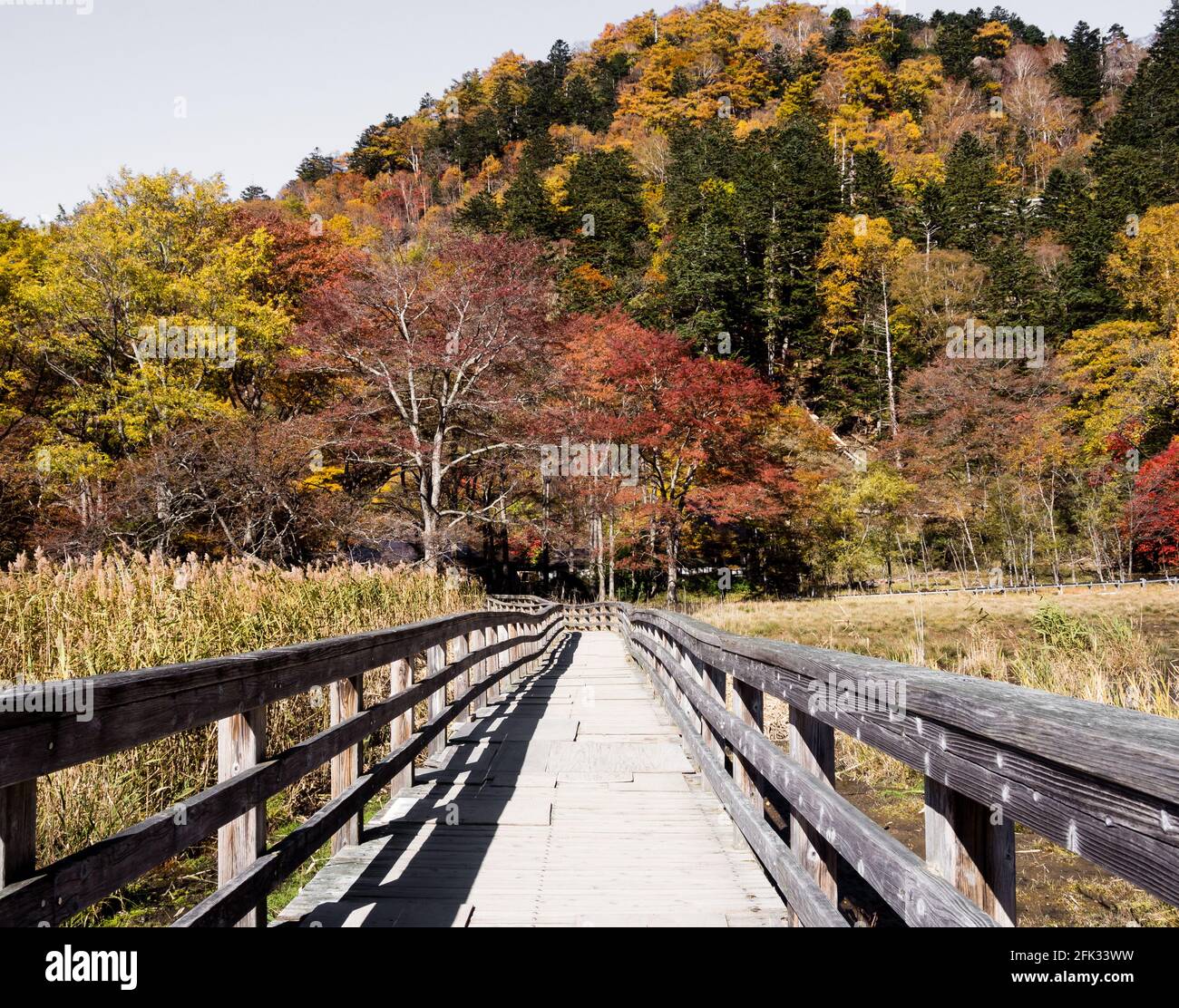 Nikko, Japan - October 24, 2016: Fall colors in Nikko-Yumoto, part of ...