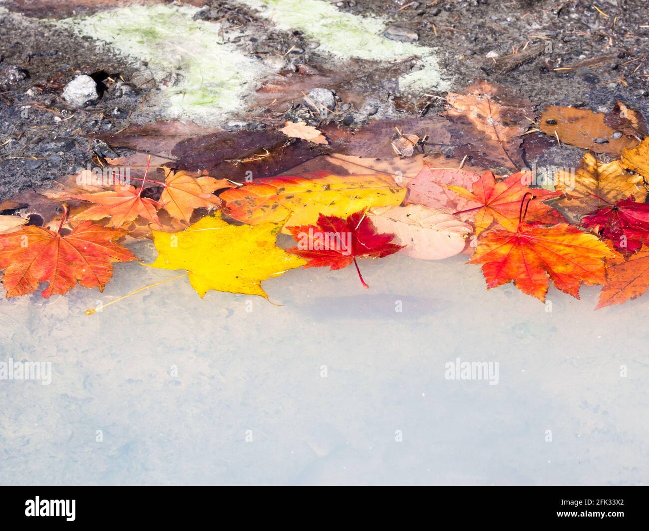 Autumn leaves in colorful hot spring - in Nikko-Yumoto, part of Nikko ...