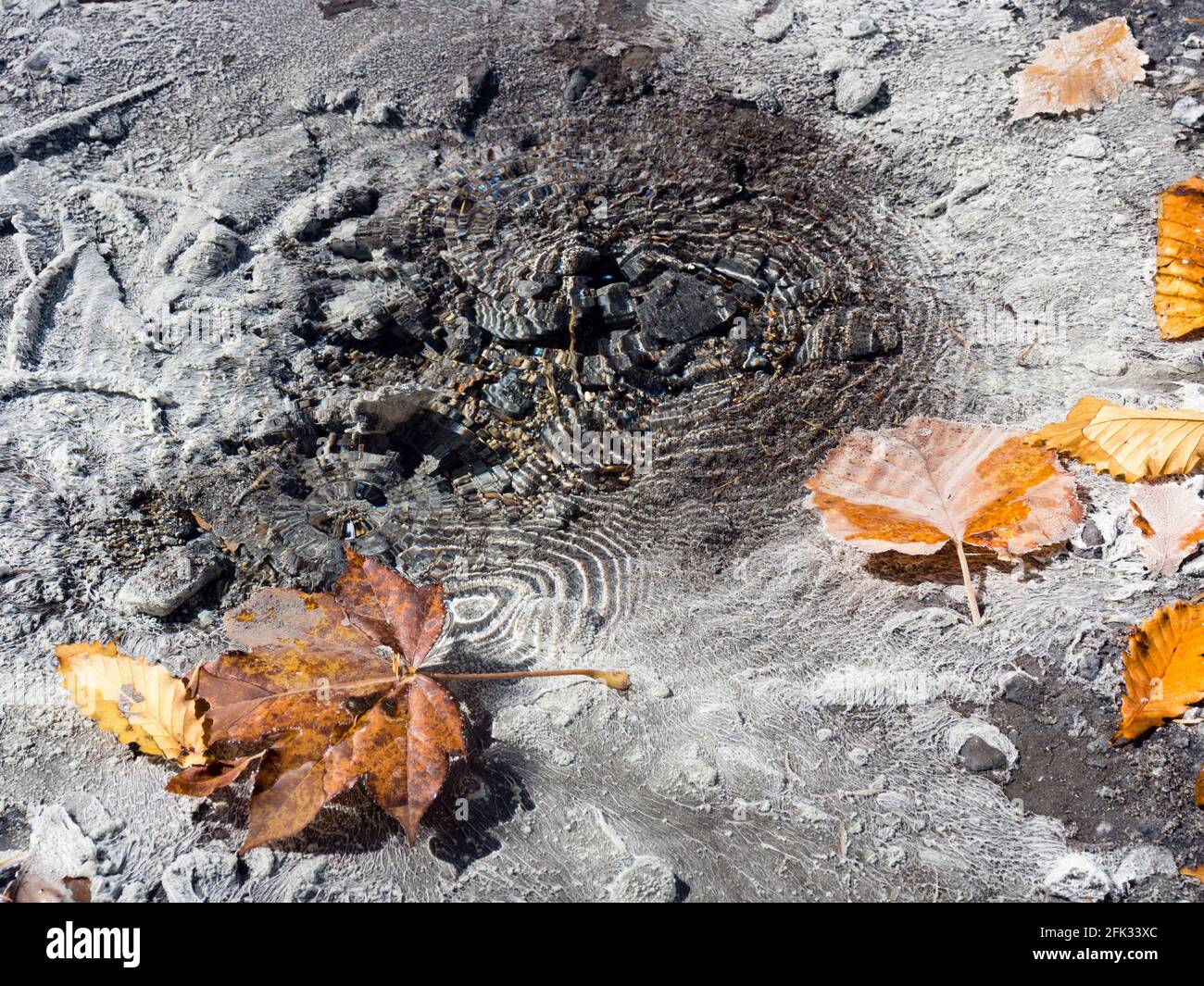 Autumn leaves in clear bubbling hot spring - in Nikko-Yumoto, part of ...