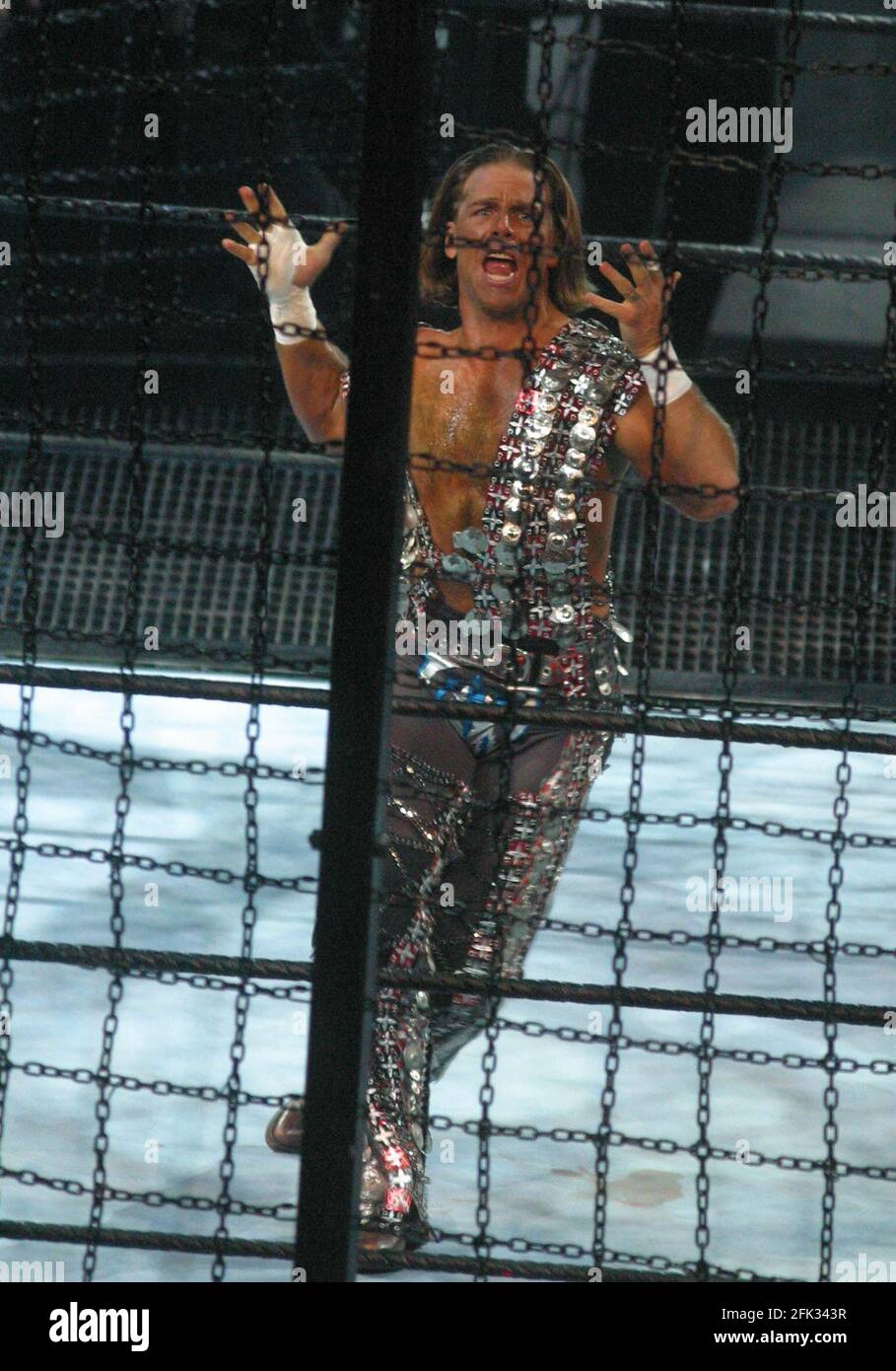Shawn Michaels 2008