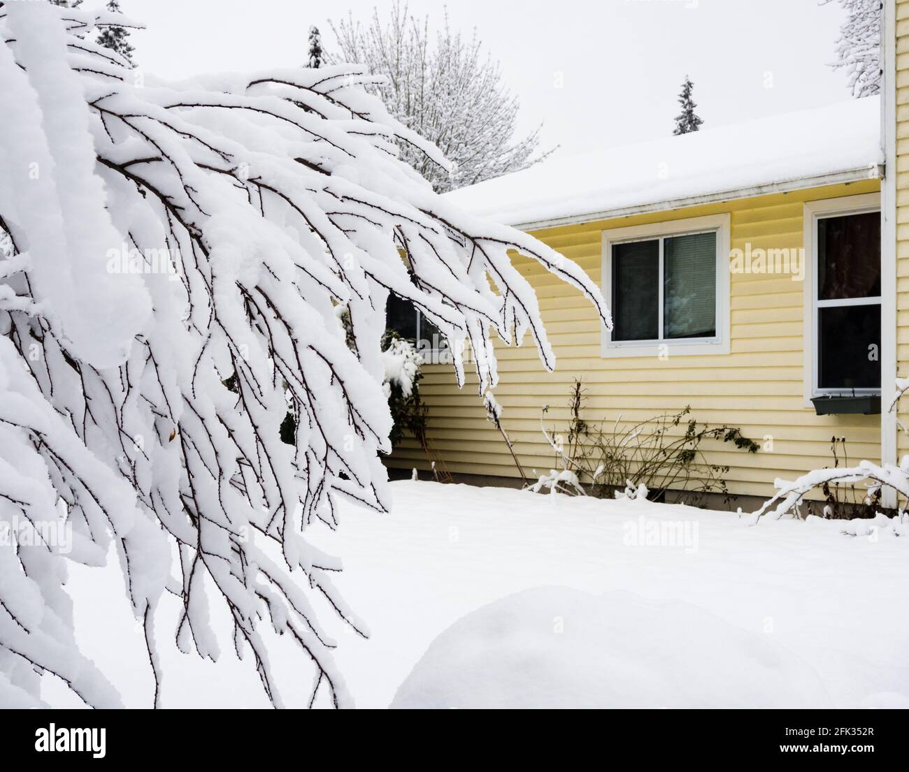 House and yard covered in thick heavy wet snow Stock Photo - Alamy