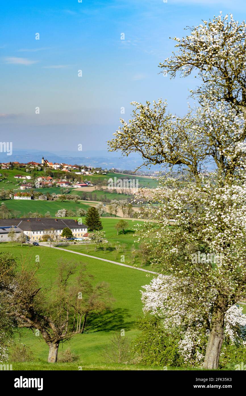 village view of strengberg in the lower austrian region mostviertel ...