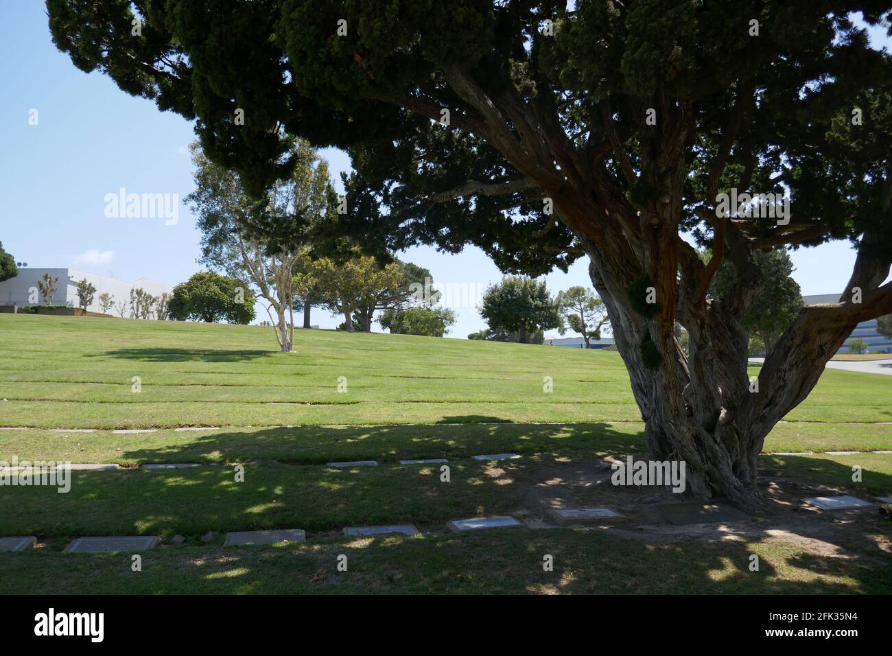 Edwina troutt mackenzie hi-res stock photography and images - Alamy