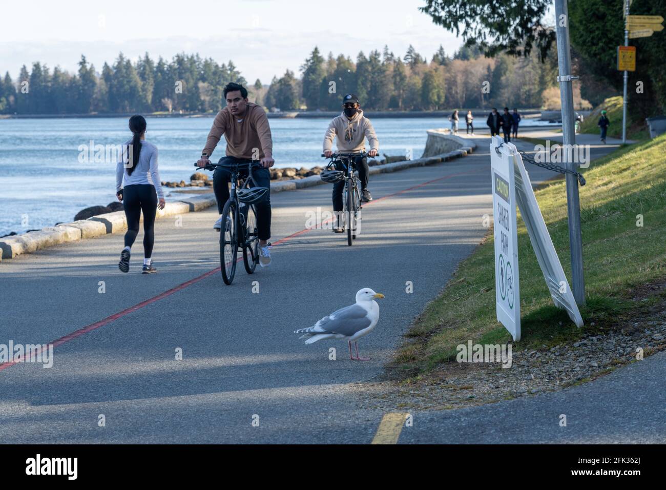 People cycling, jogging and walking in Stanley Park Seawall. Vancouver ...