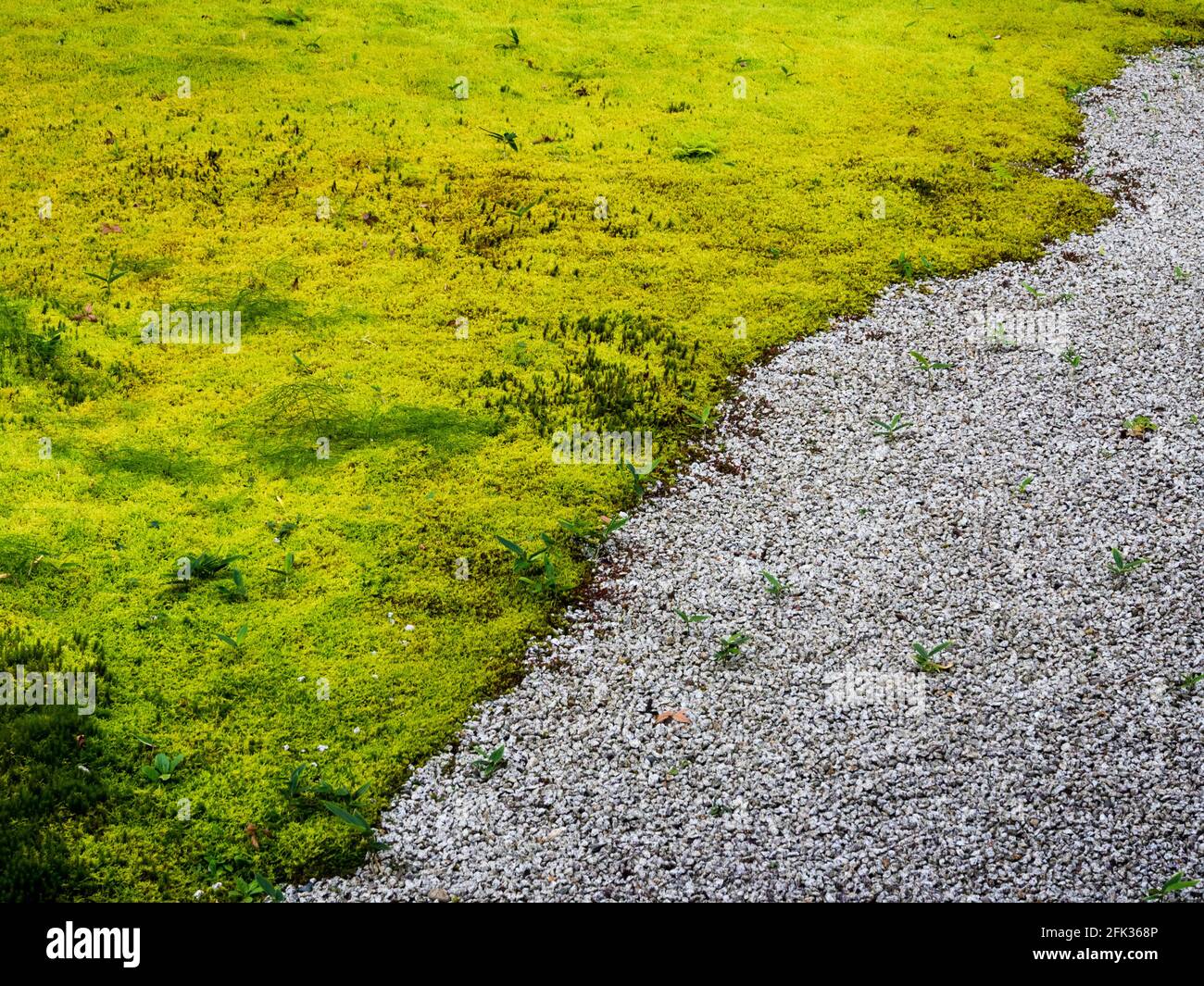Traditional Japanese garden with moss and sand Stock Photo - Alamy