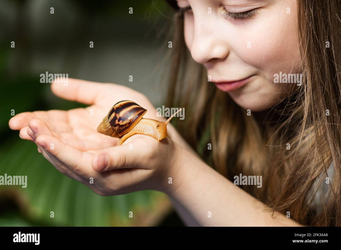 Little girl looking at snail achatina on her hands. Exotic pet. Concept ...