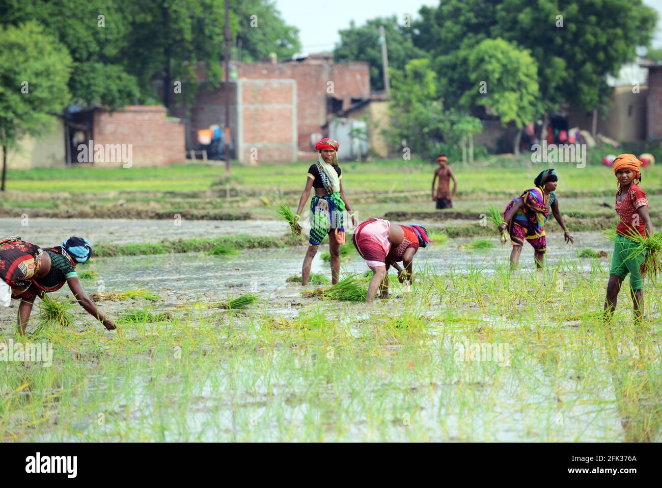 Indian rural women hi-res stock photography and images - Alamy