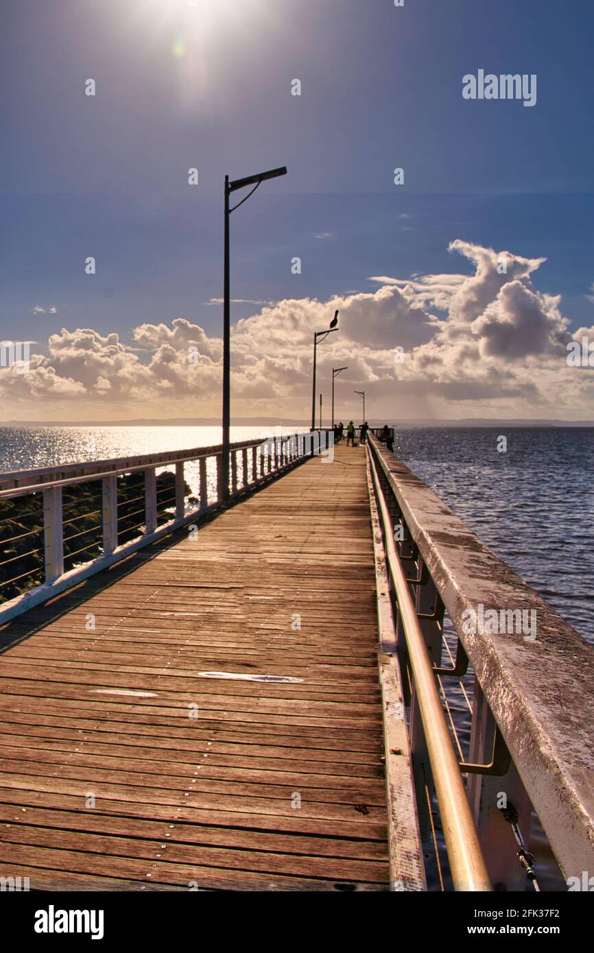 Jetty at wellington point in queensland with a pelican in the distance ...