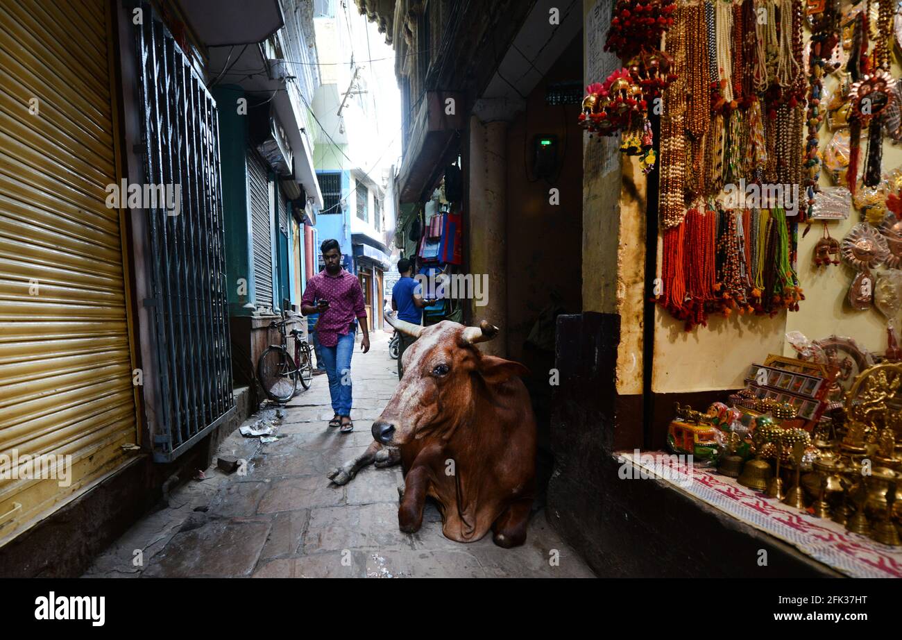 Walking through the narrow streets of the old city of Varanasi, India ...