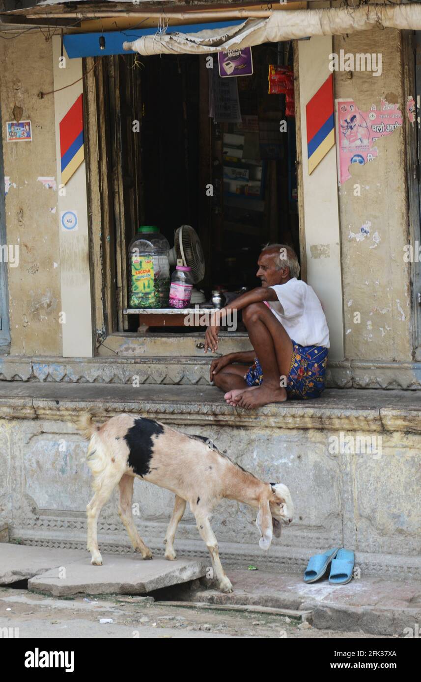 Man with a goat hi-res stock photography and images - Alamy