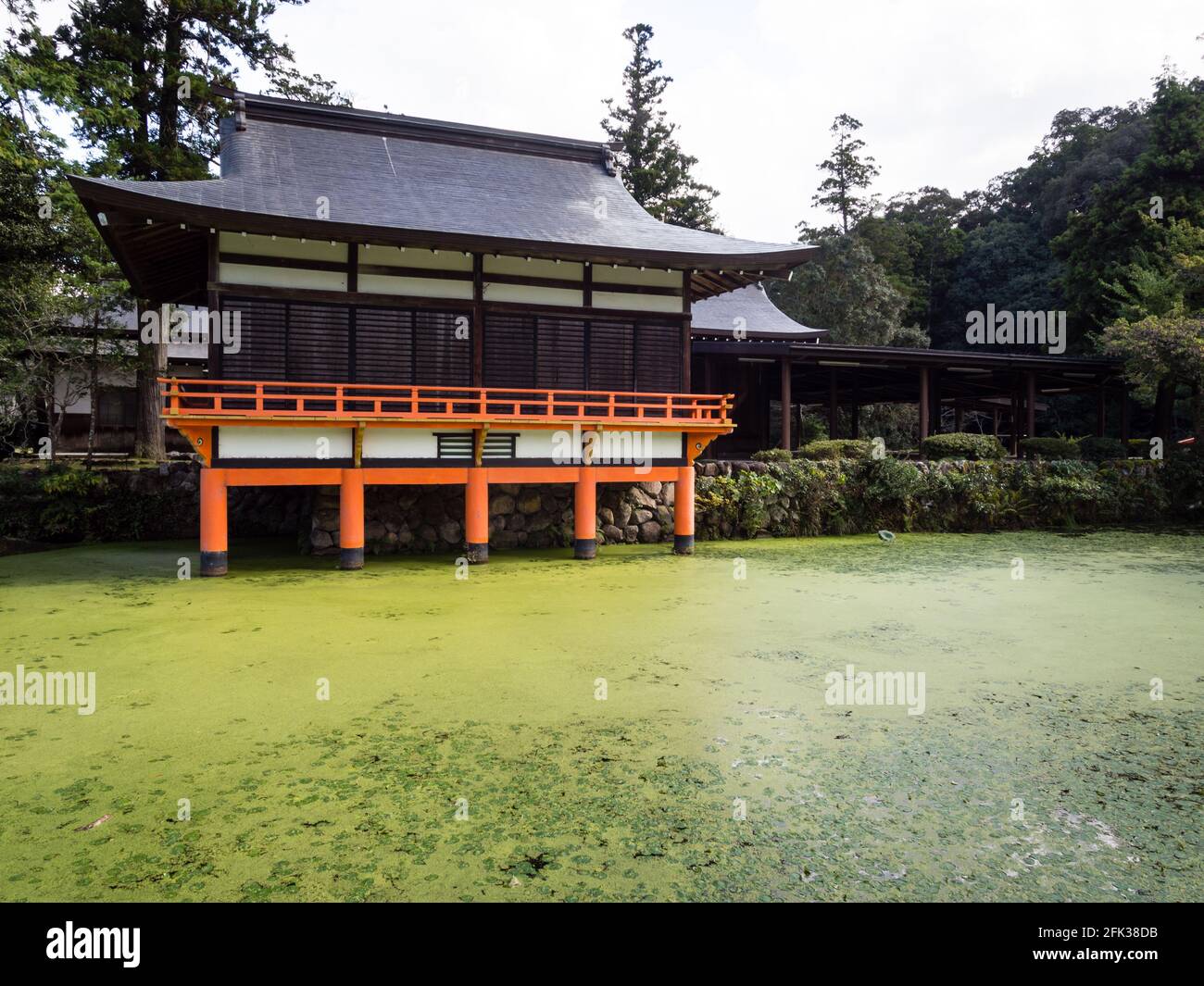 Usa jingu shinto shrine hi-res stock photography and images - Alamy