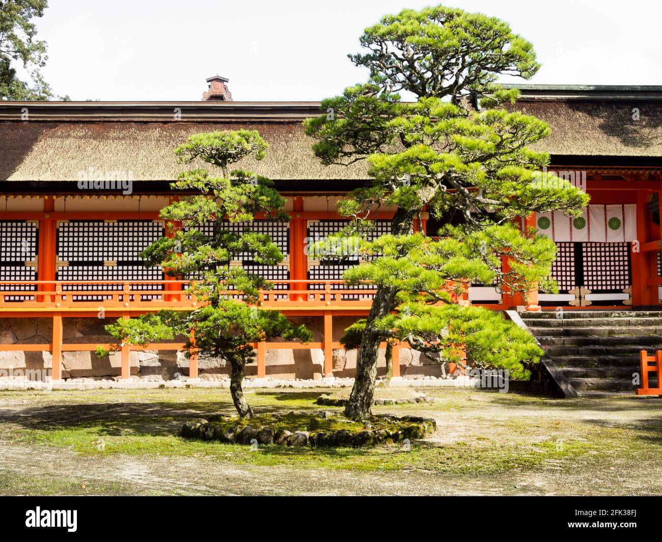 Tree growing tree shrine hi-res stock photography and images - Alamy