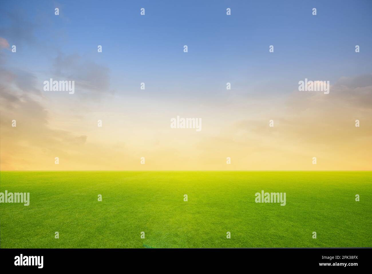 Green fresh field plant hi-res stock photography and images - Alamy