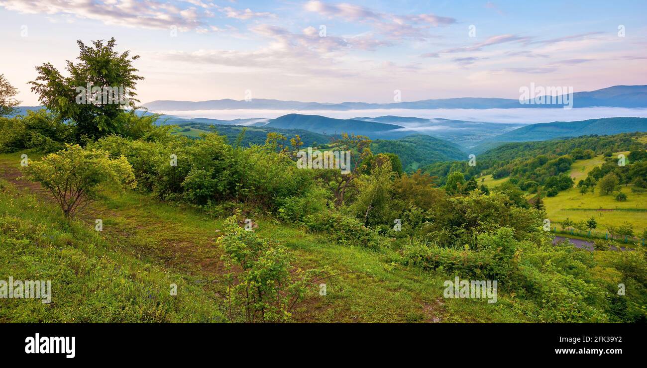 Pink distant hill hi-res stock photography and images - Alamy
