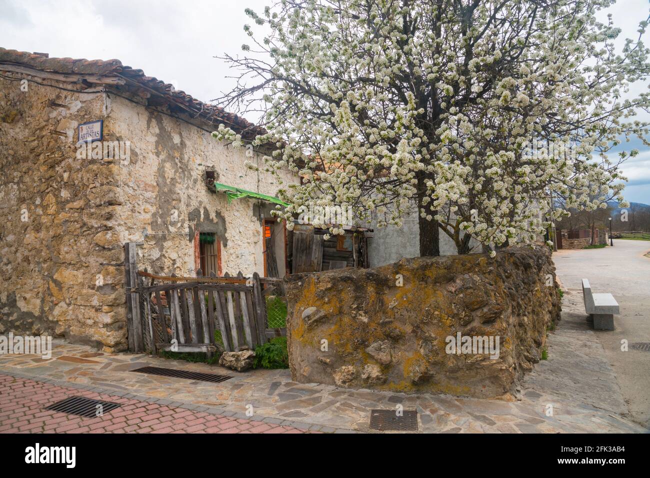 House in ruins and flowered tree. Pinilla del Valle, Madrid province ...