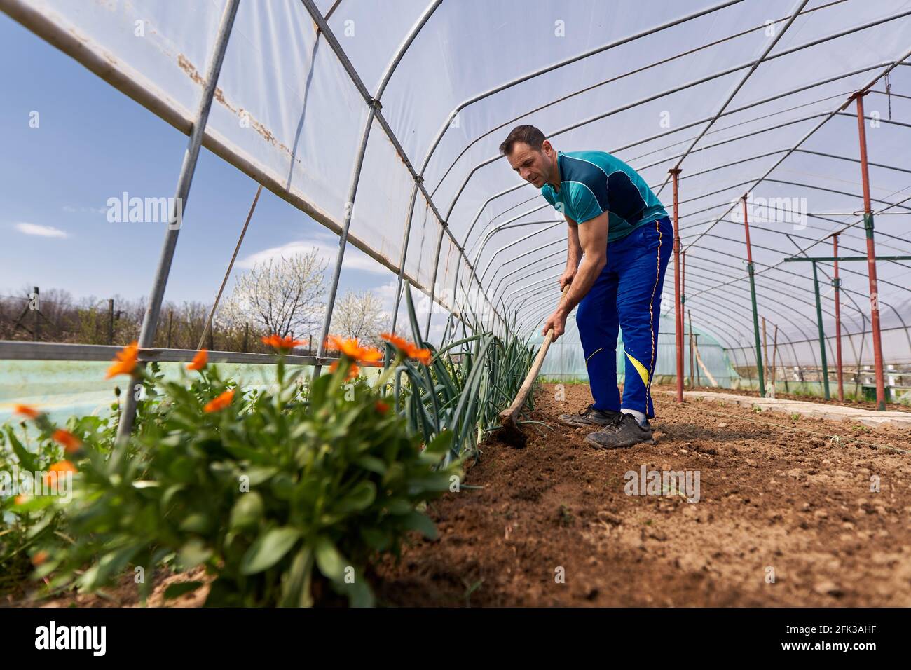Sweat weed hi-res stock photography and images - Alamy
