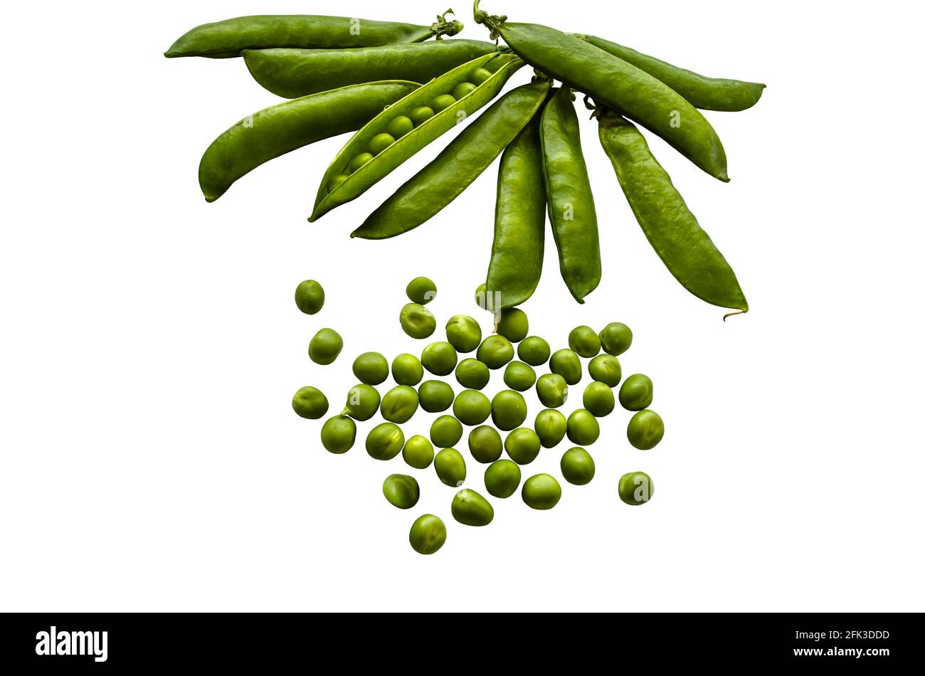 Forage peas Cut Out Stock Images & Pictures - Alamy
