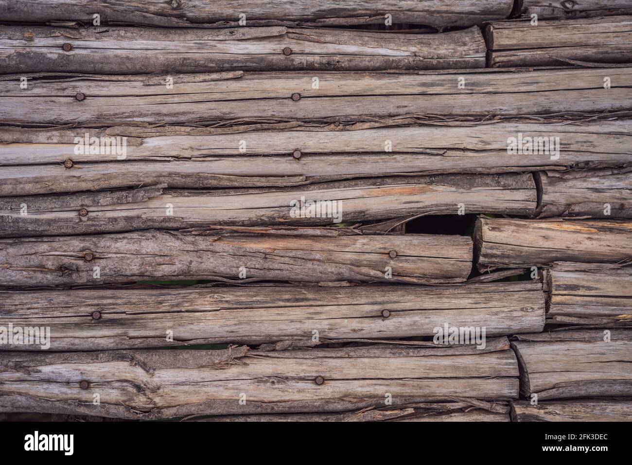 Mangrove wood logs hi-res stock photography and images - Alamy