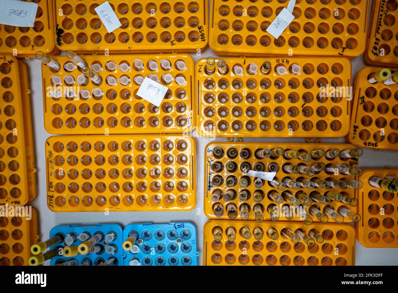 laboratory flasks with analyses in an orange stand Stock Photo - Alamy