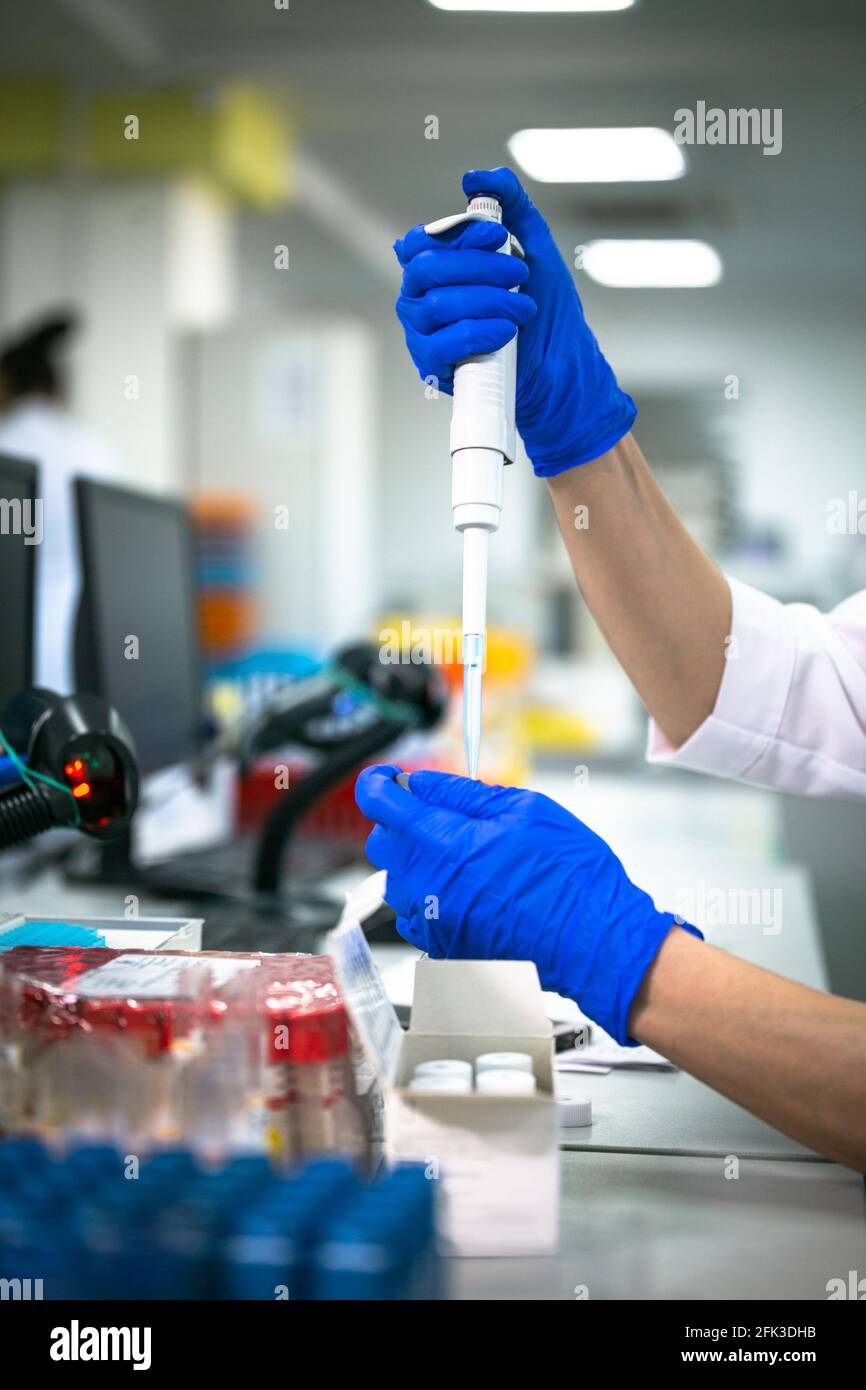 process of working with analyses in the laboratory. hands close-up ...