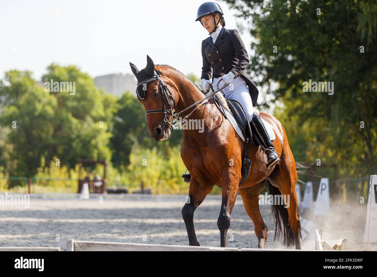 Young girl riding horse at dressage advanced test Stock Photo - Alamy