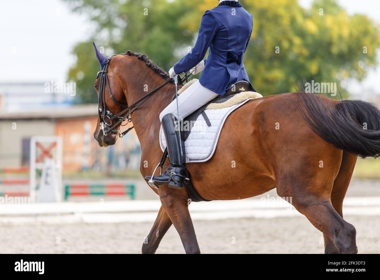 Young girl riding horse at dressage advanced test Stock Photo - Alamy