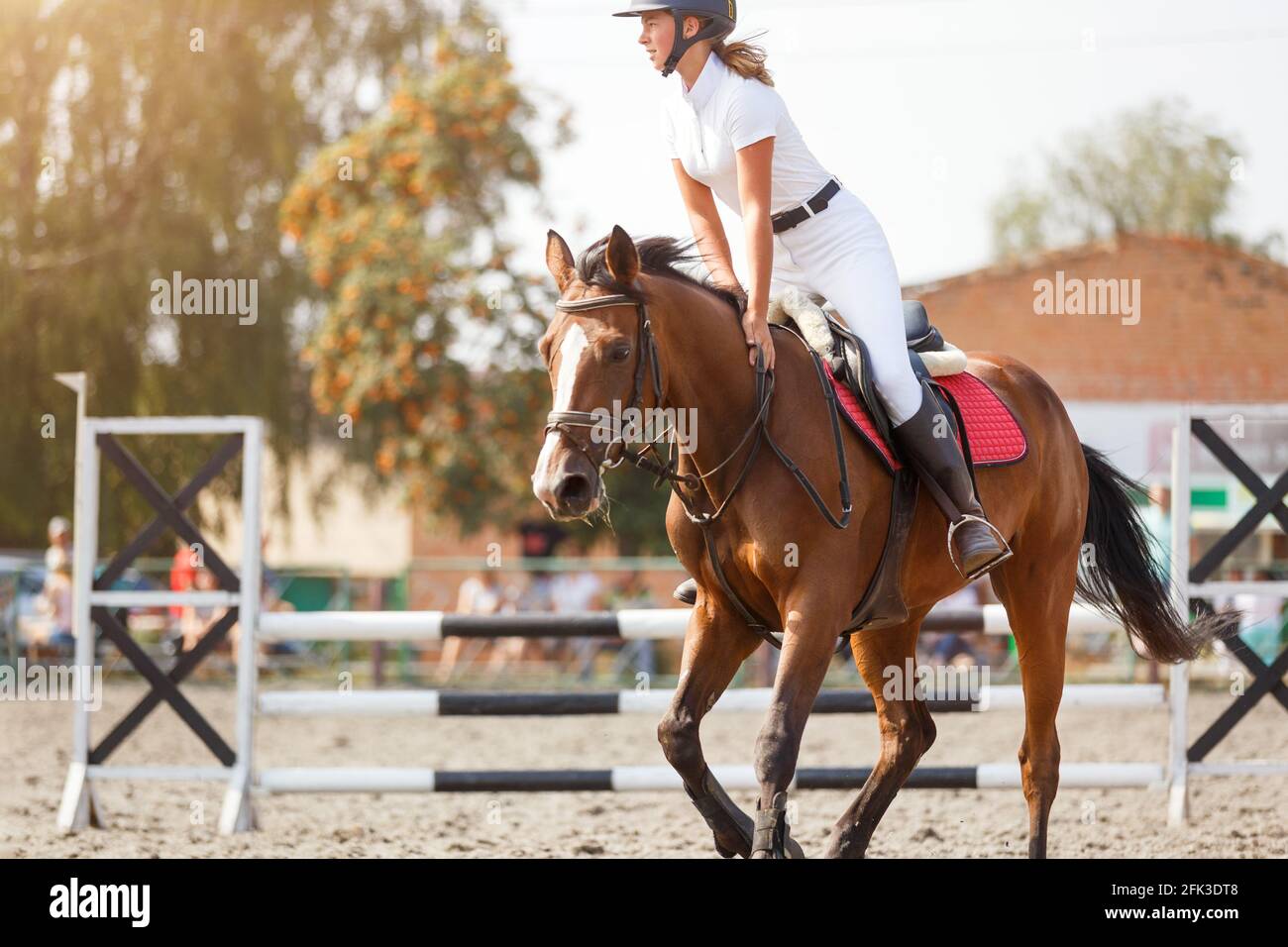 Young girl tapping horse after show jumping course Stock Photo - Alamy