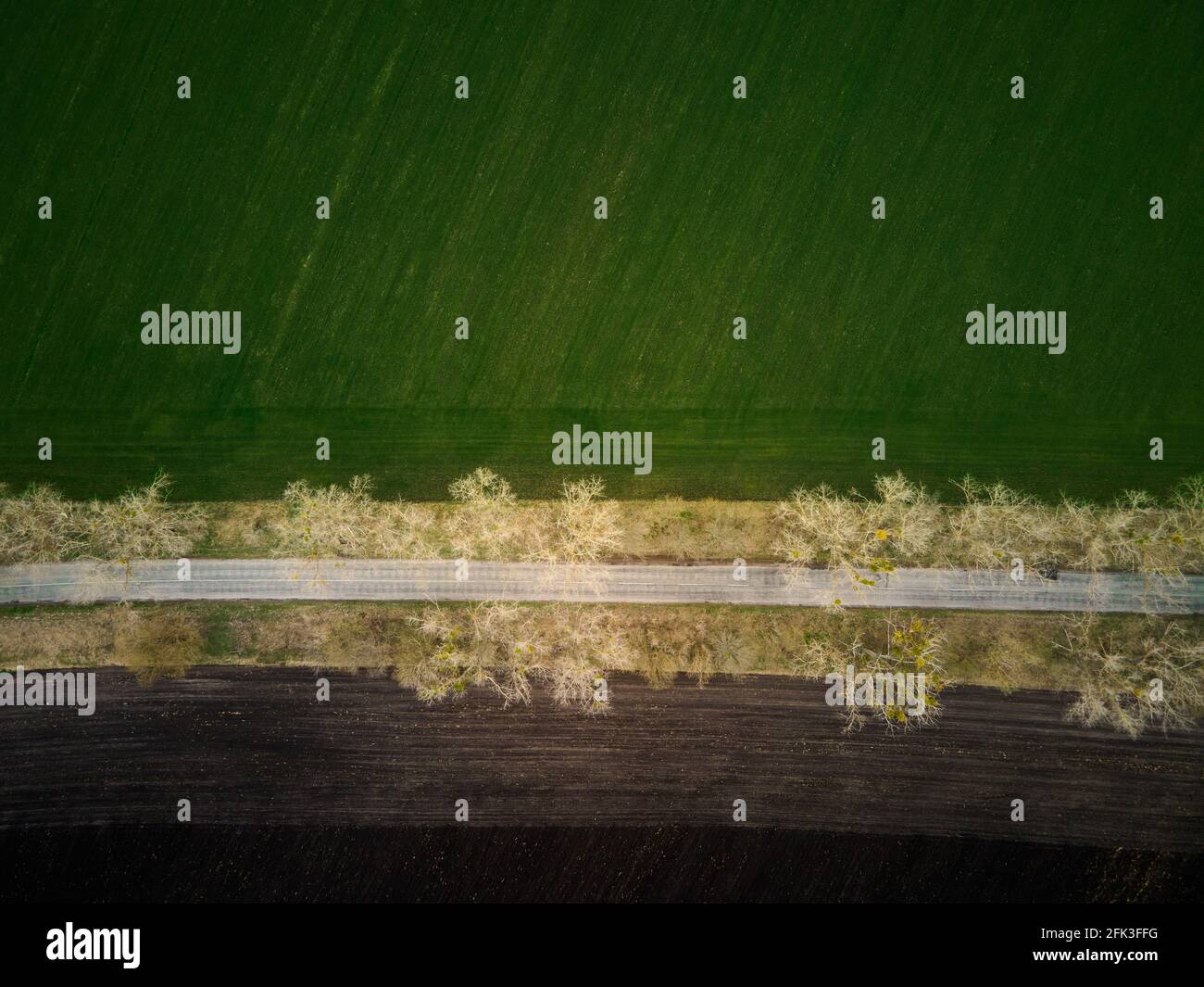 Aerial drone top view flight over ground land road and green field ...