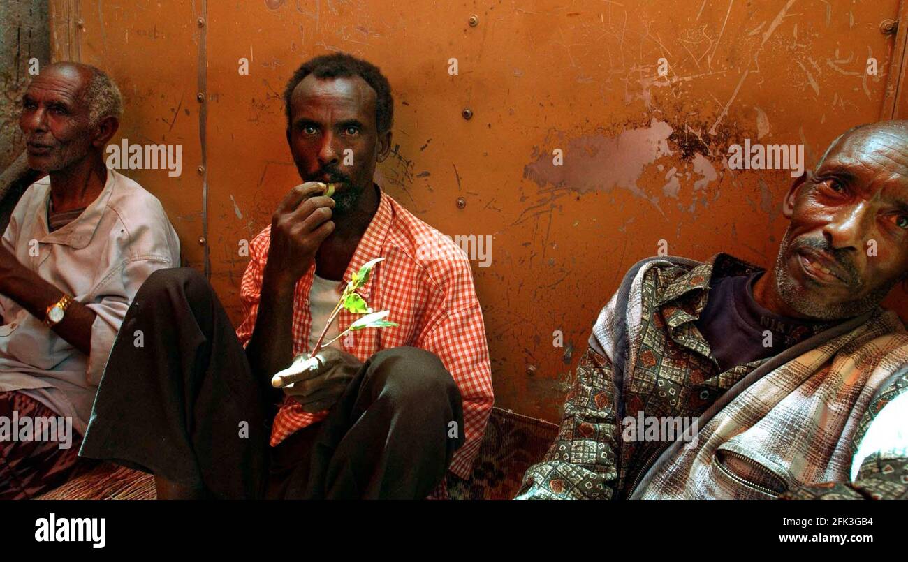 SOME MEN SPEND MUCH OF THE AFTERNOON CHEWING KHAT IN THE MARKET PLACE ...