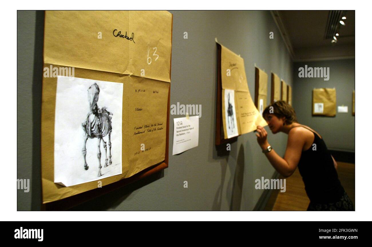 Stubbs and the Horse......Anatomical drawings by George Stubbs in the ...