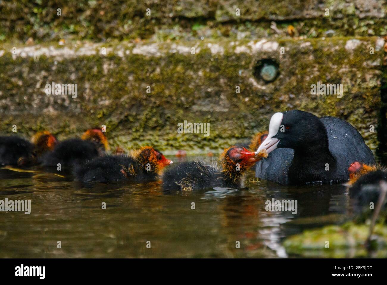 Wapping Canal, London, UK. 28th April 2021. Family breakfast time as a ...