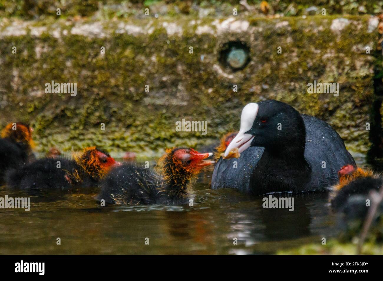 Wapping Canal, London, UK. 28th April 2021. Family breakfast time as a ...