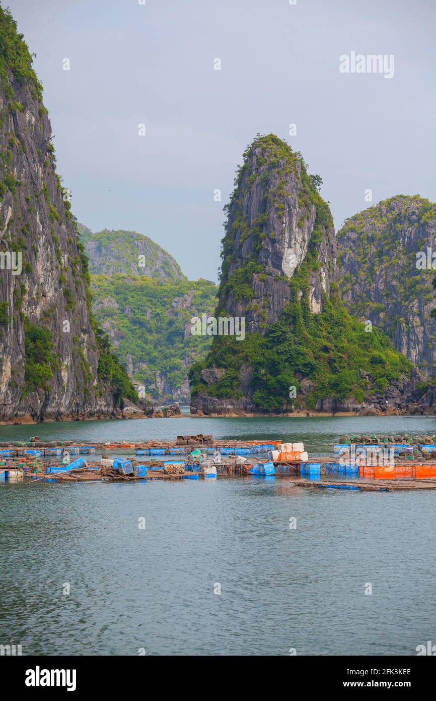 Beautiful natural cliffs in Ha Long Bay at the Gulf of Tonkin of the ...
