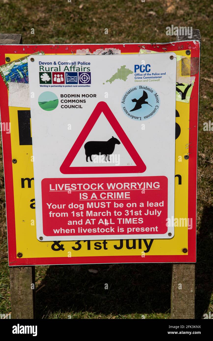 Livestock Worrying Sign, Cornwall Stock Photo - Alamy