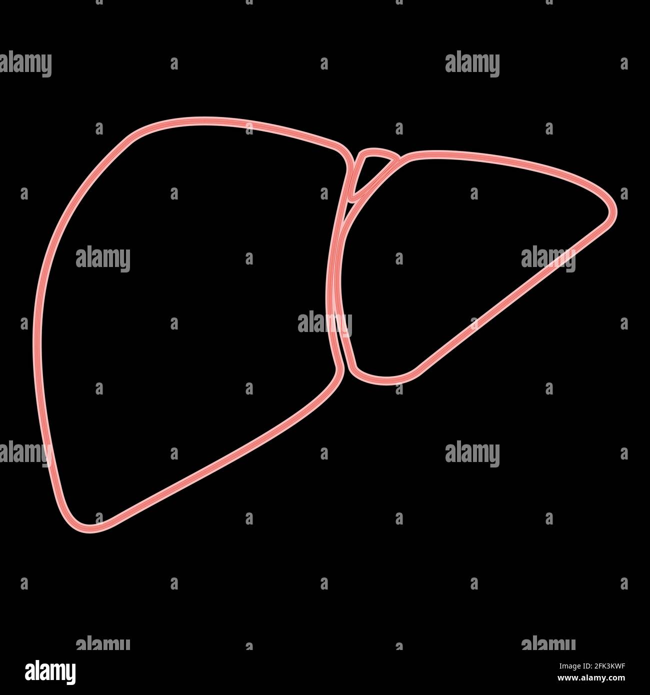 Normal healthy liver Stock Vector Images - Alamy