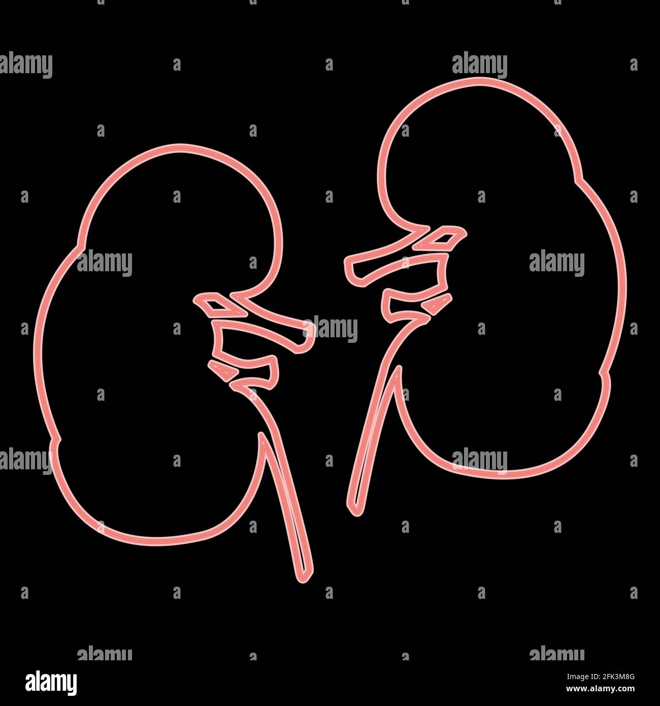 Neon kidney it is the red color vector illustration flat style light ...